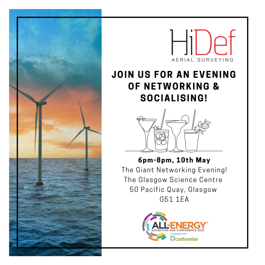 HiDef Attend All-Energy Conference 2023! - HiDef